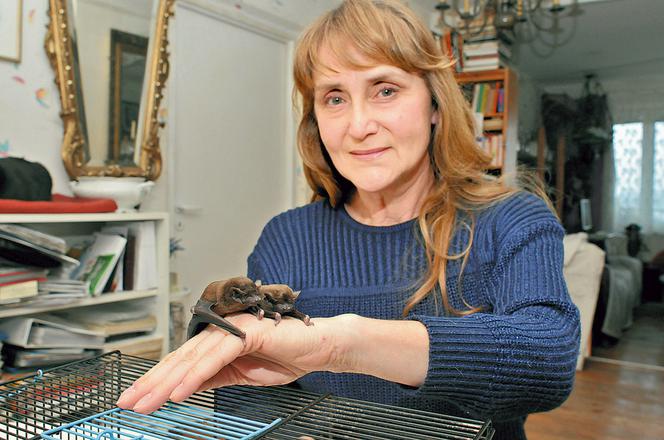 Batmama ze Szczecina nie śpi w nocy, bo karmi niepoterze - Super ...
