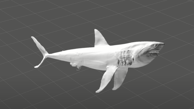 Jak naprawdę wyglądał największy rekin w dziejach? Mamy model 3D ...