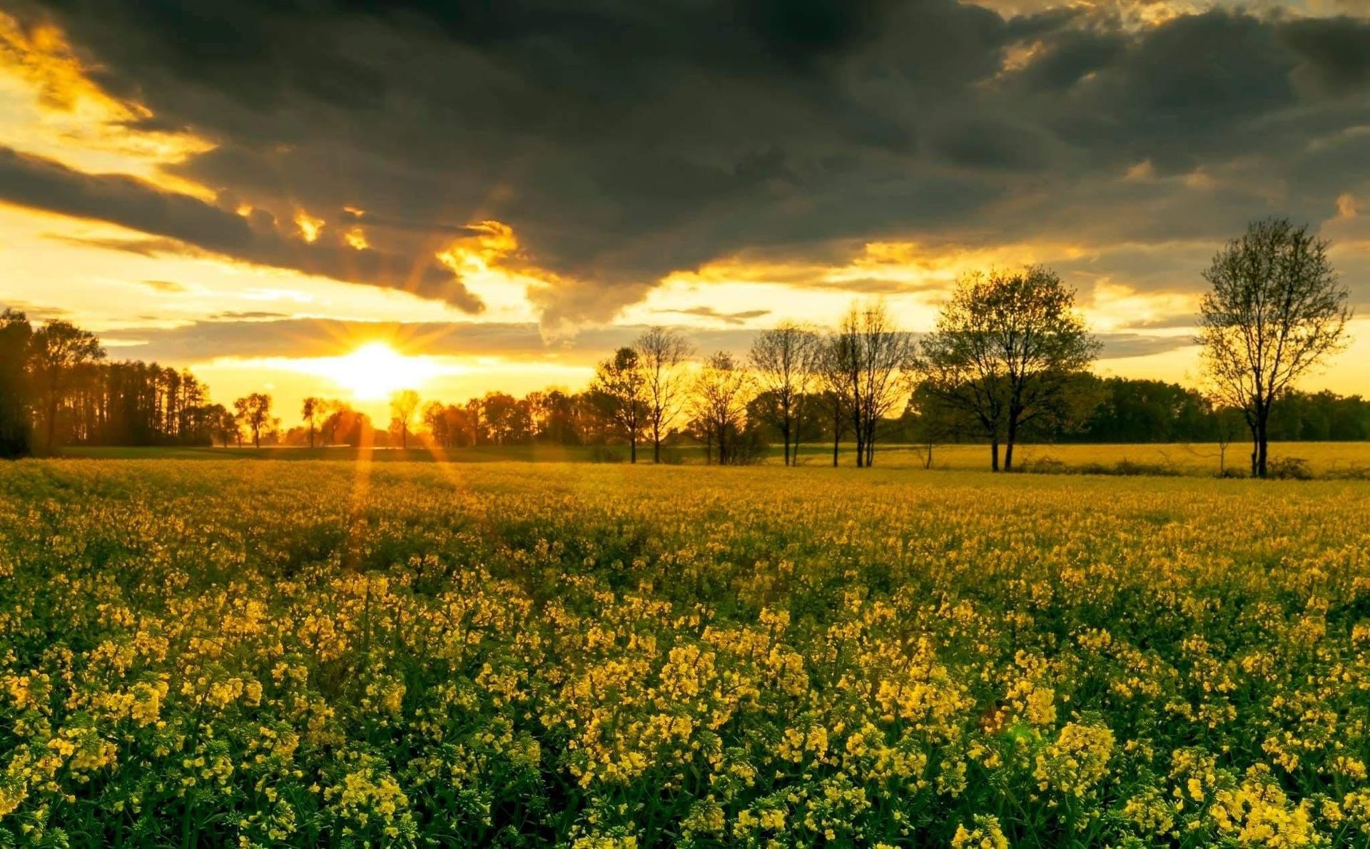Najpiękniejsze wsie na Śląsku 2025. Oto najnowszy ranking wsi - Śląskie ...