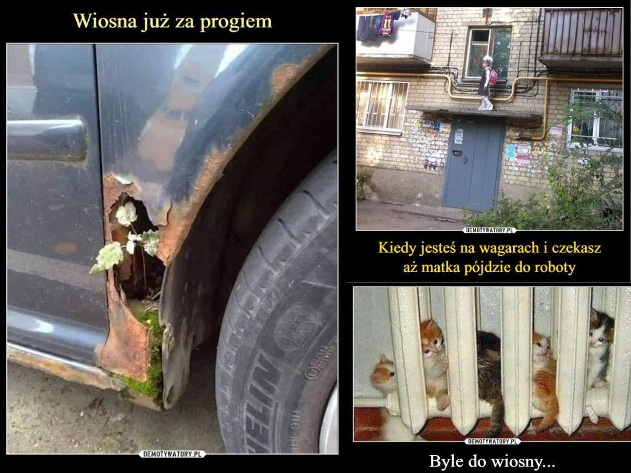 MEMY na Dzień Wagarowicza i Pierwszy Dzień Wiosny. Powitaj nową porę ...