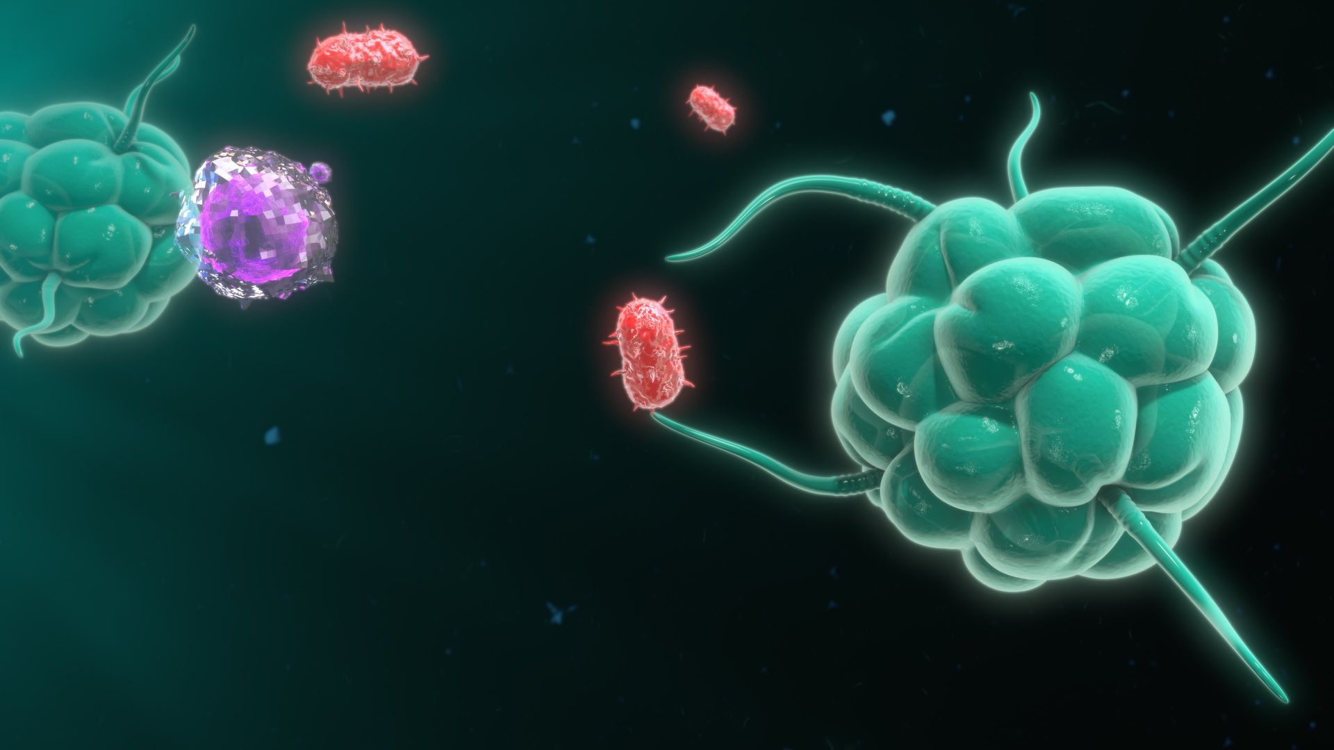 Immunolog. Czym zajmuje się immunologia? - PoradnikZdrowie.pl