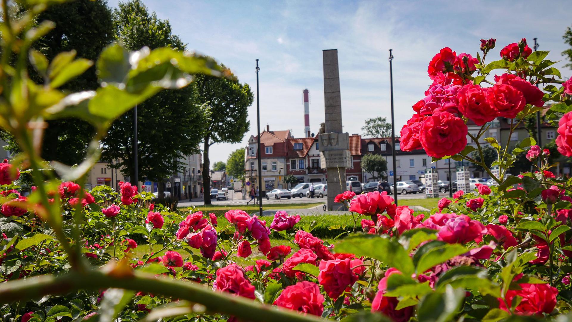 Co oznacza hasło "Rzeczpospolita Mosińska"? Jaka jest jej historia ...