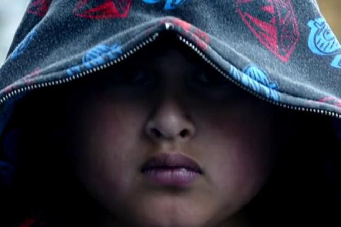 Hunt for Wilderpeople - trailer nowej komedii reżysera filmów Thor 3 ...