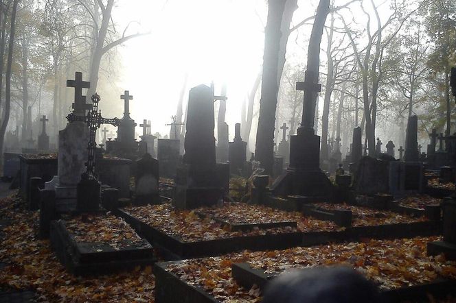 Dziś 1 listopada - uroczystość Wszystkich Świętych - Radioplus.pl
