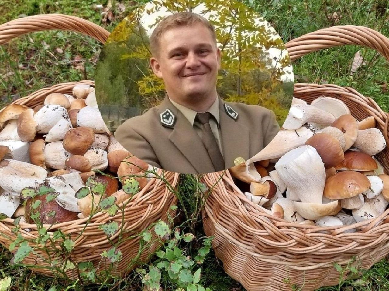 Grzybowe Eldorado w Świętokrzyskiem! Leśnik zapowiada wyjatkowo obfity wysyp – kiedy ruszać na ...