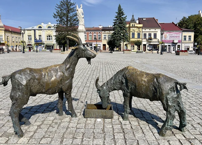 To małopolskie miasto jest nazywane polskim Monachium. Jest sławne w ...