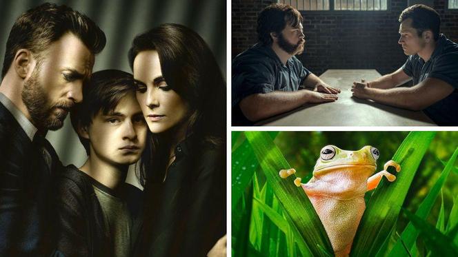 Najlepsze filmy i seriale na Apple TV+. TOP10 tytułów, które warto ...