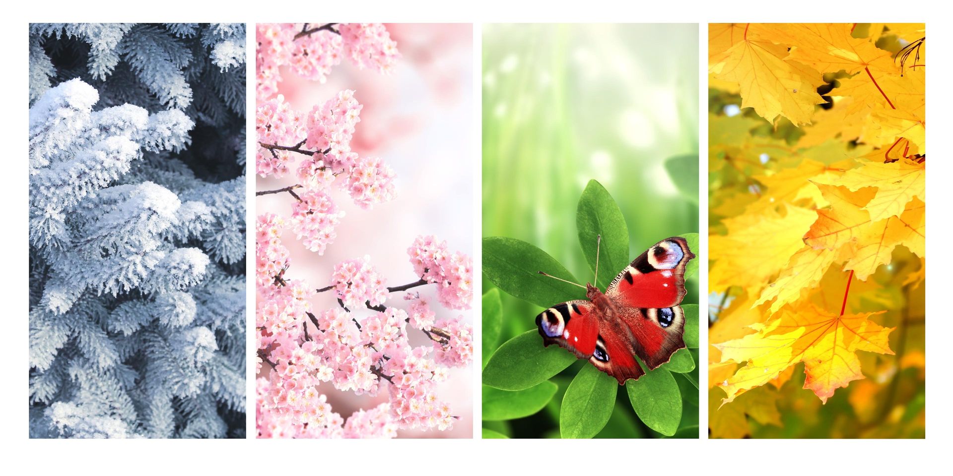 Test osobowości. Jaką porą roku jesteś? Mroźna zima, czy ogniste lato ...