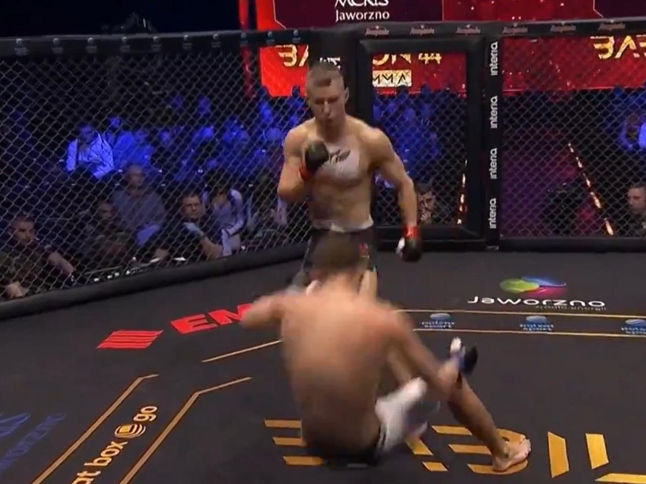 Brutalny nokaut na gali w Polsce! Bezlitośnie wykończył rywala już w ...