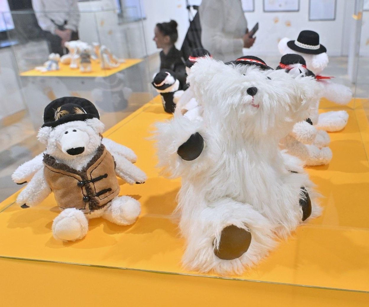 Maskotka Białego Misia w Zakopanem już po wakacjach. Wiadomo ile będzie ...