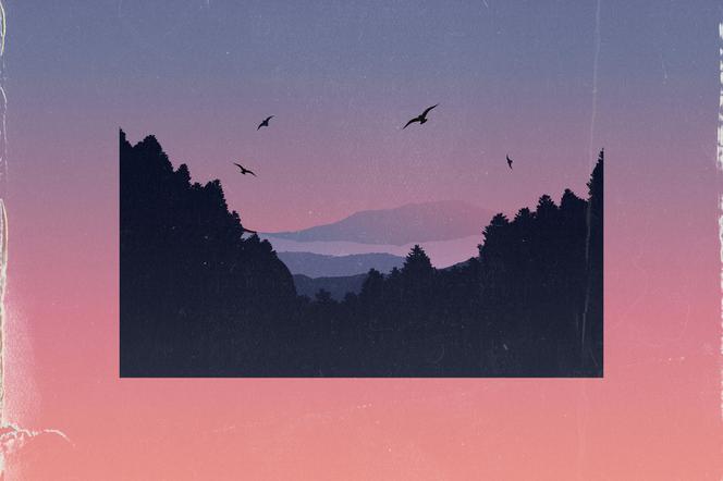 Shawn Mendes, bryska, Felix Jaehn & Robin Schulz i inni w New Music ...