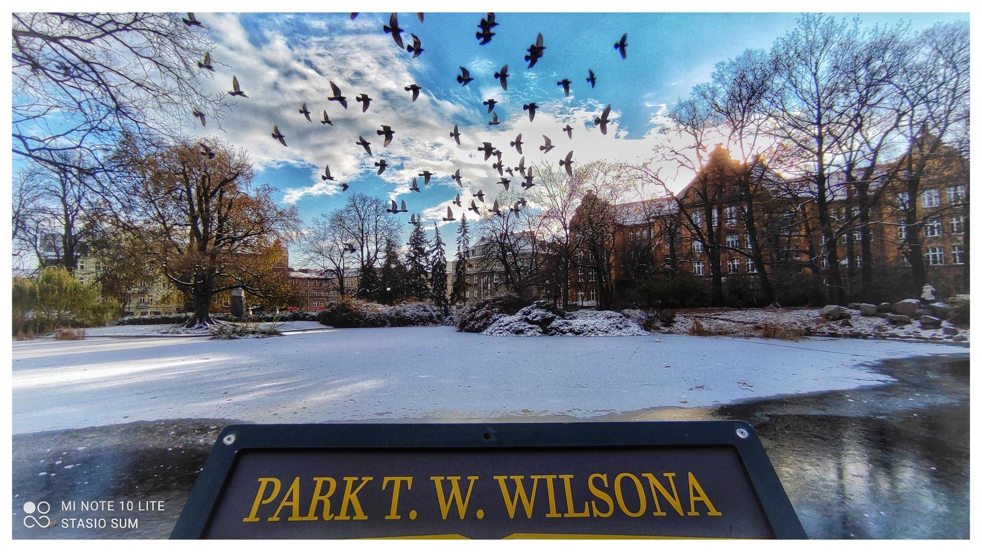 Zobacz jak wygląda Park Wilsona w Poznaniu w zimowej aurze. Zdjęcia ...