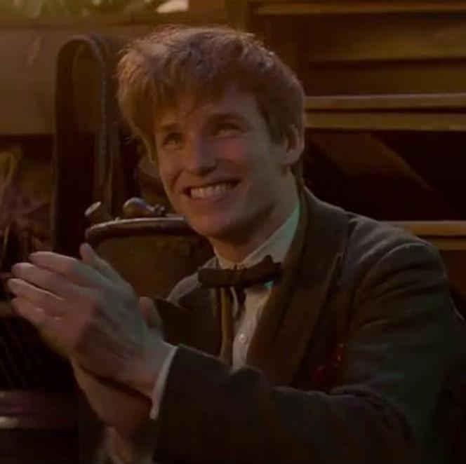 Harry Potter – najlepszy film i najlepsza książka. Eddie Redmayne z ...