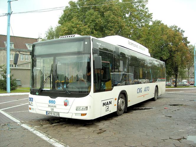 MZK w Toruniu zatrudni kontrolerów. Jakie proponują wynagrodzenie ...