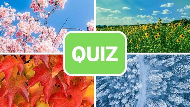 Którą porą roku jesteś? Rozwiąż szybki QUIZ, by się przekonać! - ESKA.pl