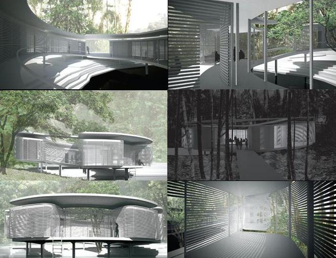 Rafflesia House - Architektura-Murator