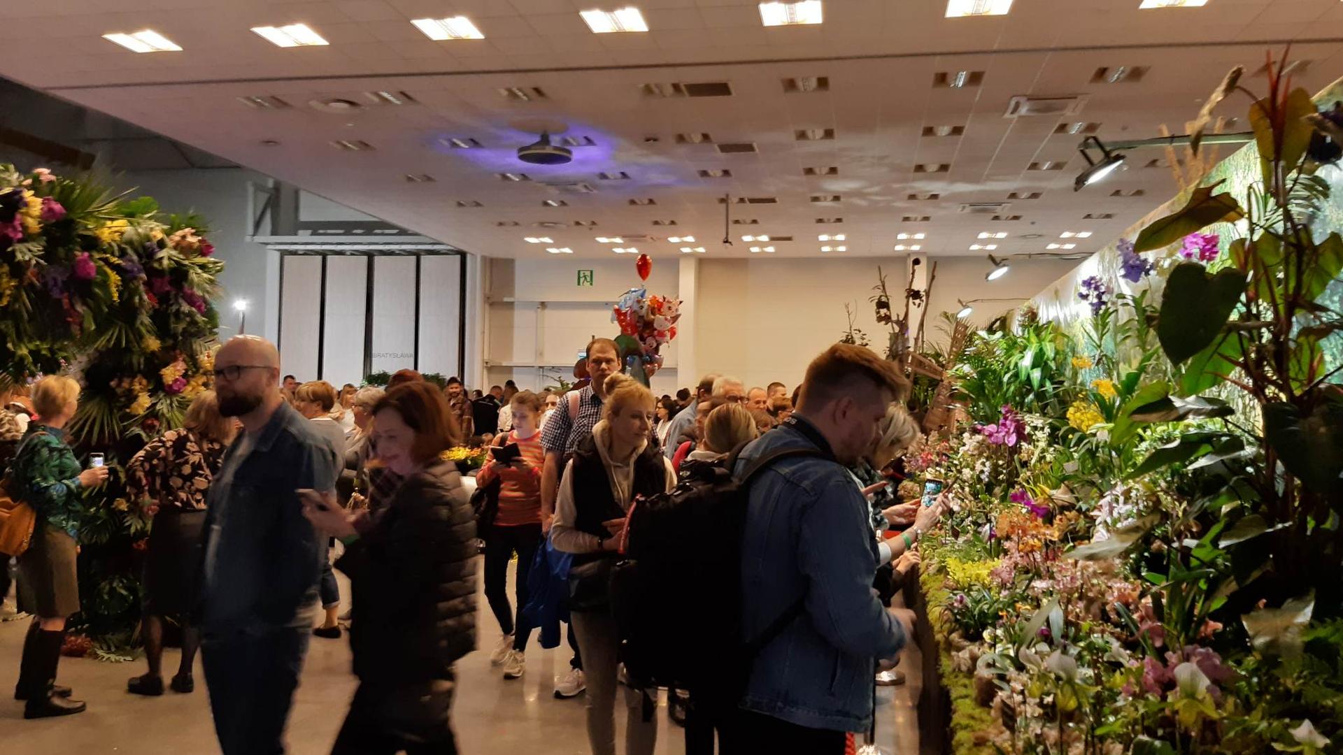 Targi roślin w Krakowie. To była prawdziwa kwiatowa eksplozja - Kraków ...