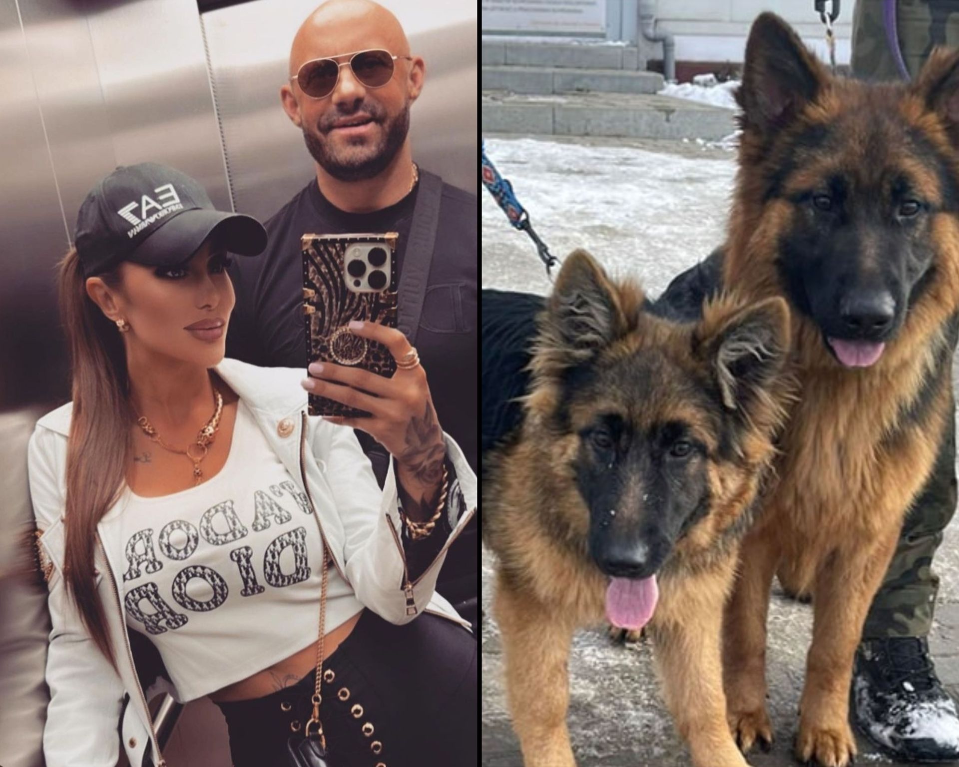 Aleksandra Szafrańska „Królowa życia” porzuciła dwa psy? Chciała znaleźć im nowy dom - Śląskie ...