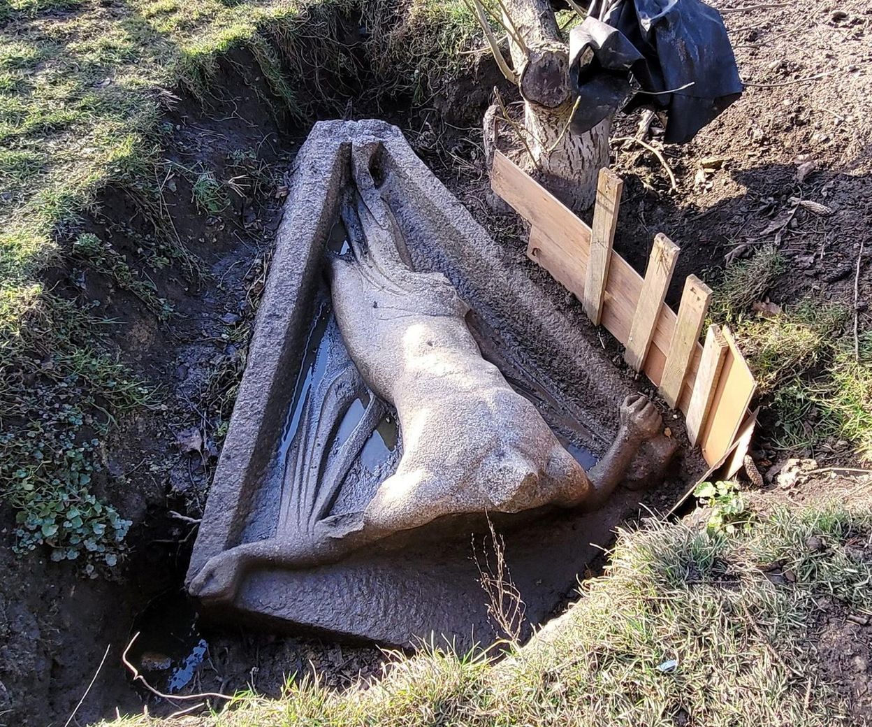 Rogów Sobocki. Fragment męskiego torsu zakopany w ogródku. To dzieło ...