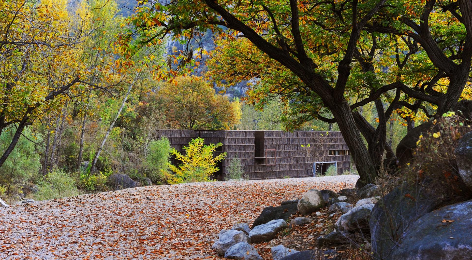 Li Xiaodong laureatem pierwszej edycji Moriyama RAIC International ...