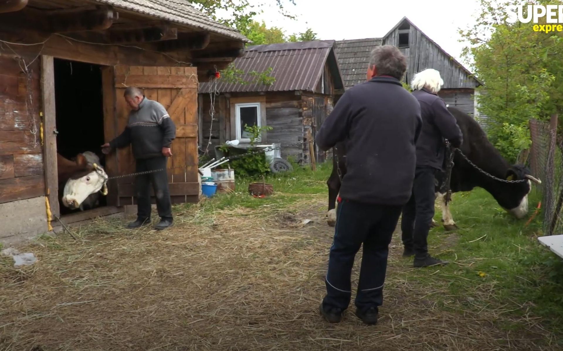 Rolnicy. Podlasie. Takie piękne, że "można samemu jeść". Gienek i Andrzej wykazali się ...