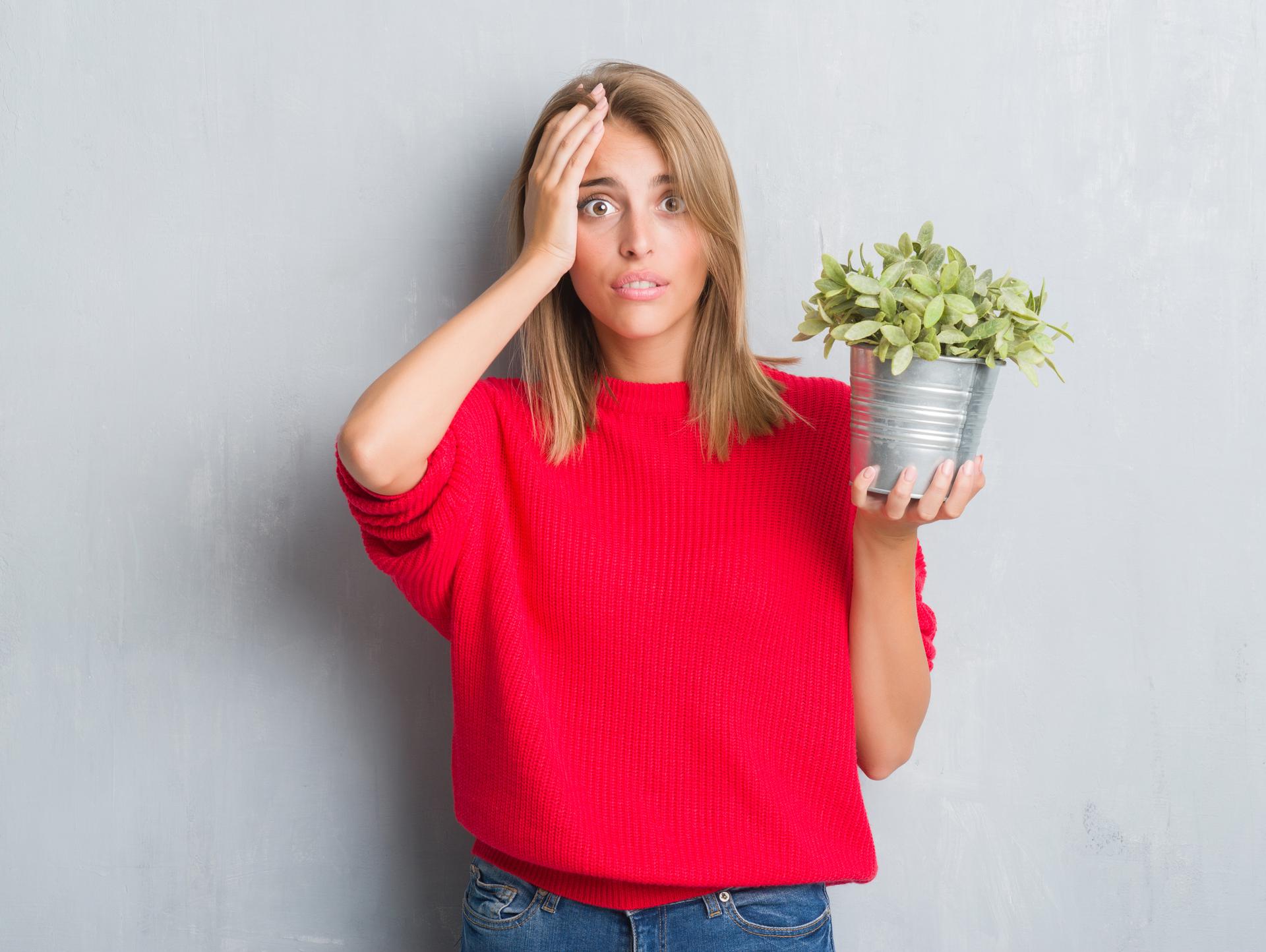 Antofobia, czyli lęk przed kwiatami - Mjakmama24.pl