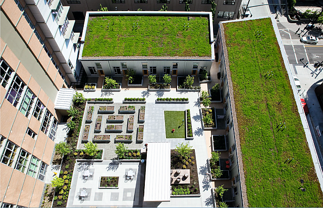 Zielone dachy w domach jednorodzinnych - murator.pl