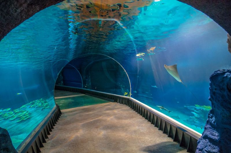 Afrykarium we Wrocławiu - muratorplus.pl