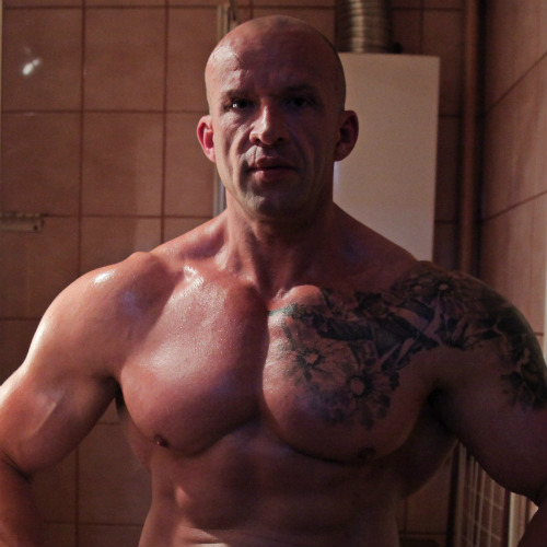 Pitbull 3 to film o Strachu! Gwiazdy, historia, niespodzianki ...