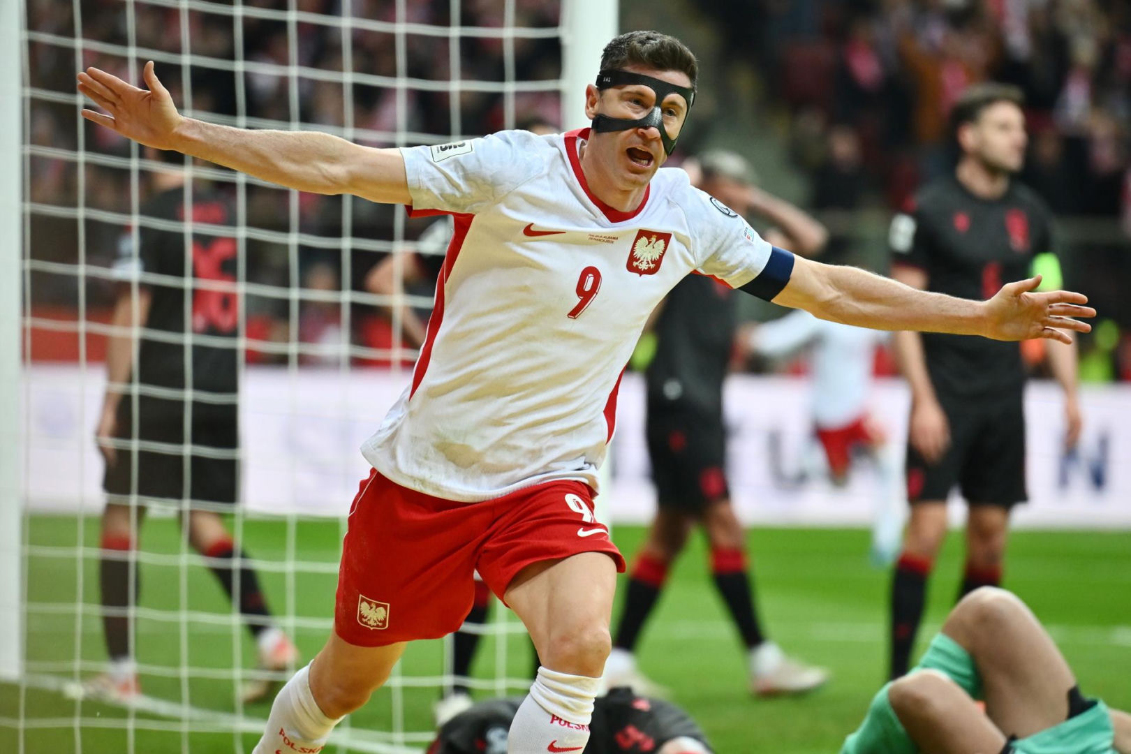 Polska - Albania 2:1! Lewandowski i Zieliński bohaterami. Biało ...