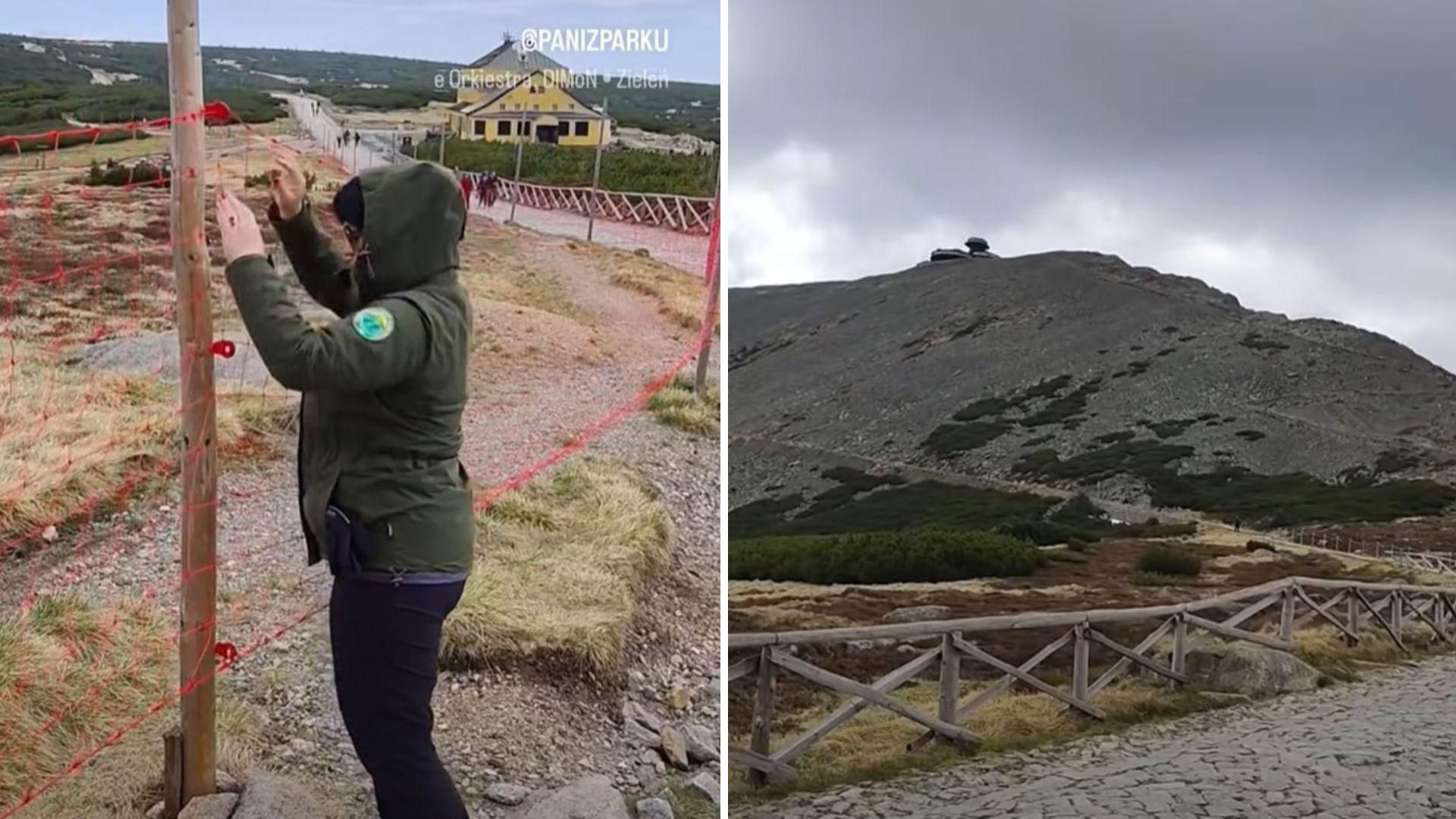 Drastyczny krok w Karkonoszach. Siatki mają chronić góry przed ...