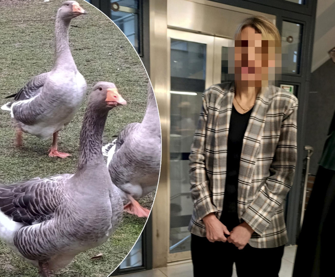 Półroczna Lusia udusiła się w pudełku owiniętym folią. Właścicielka ...