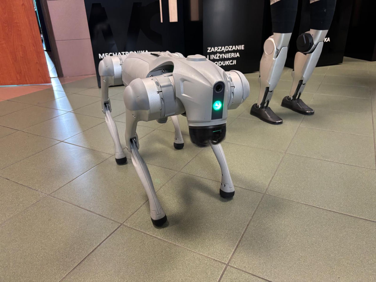 Robot Astro ma zwierzaka. ANS kupiła robo-psa. Programują go studneci ...