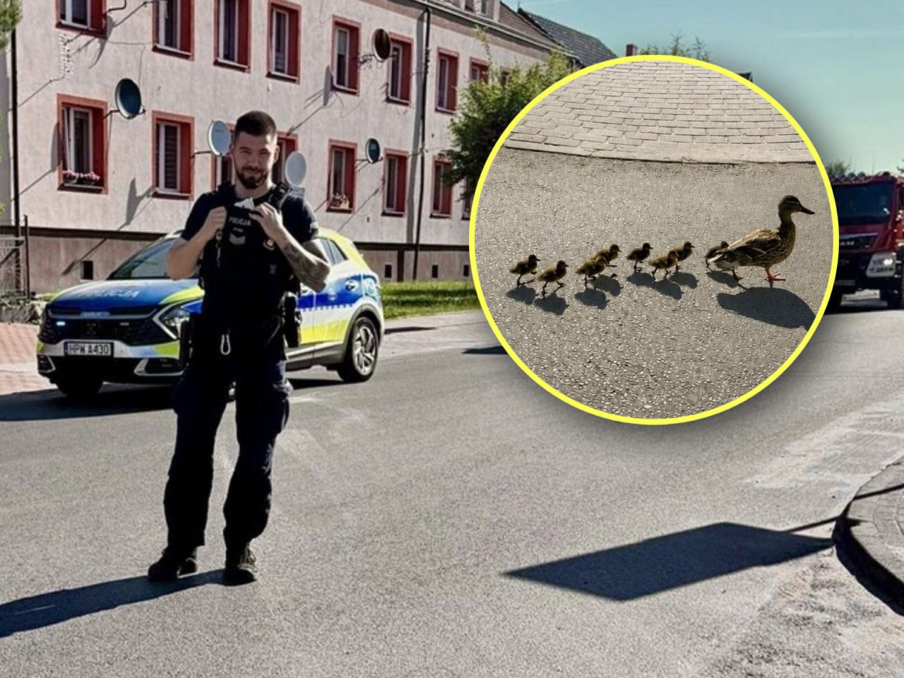 Policjant ruszył na pomoc... kaczej rodzince. Niecodzienna interwencja ...
