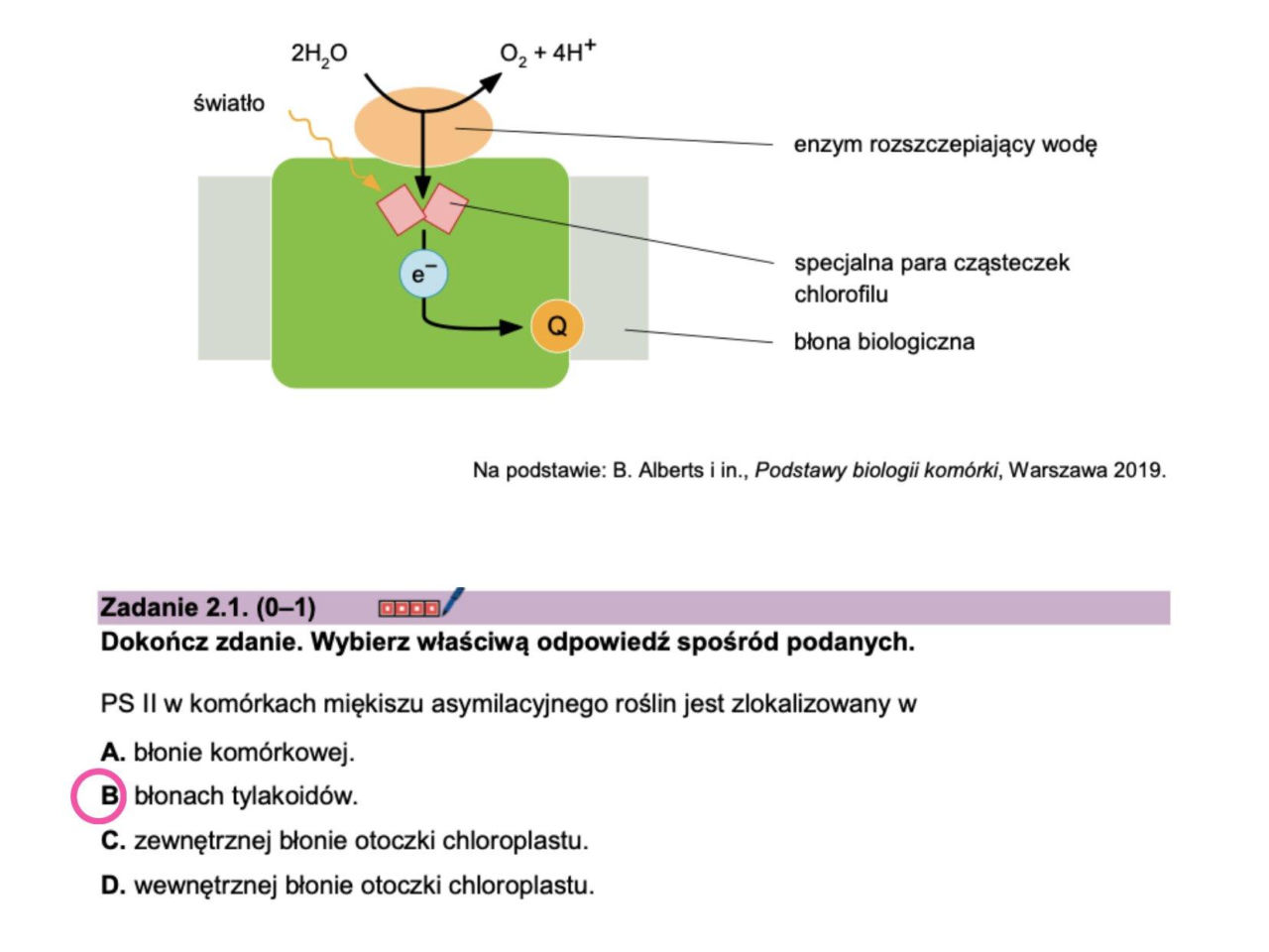 Biologia matura 2026 pdf jpg [ODPOWIEDZI i oficjalny ARKUSZ CKE do ...