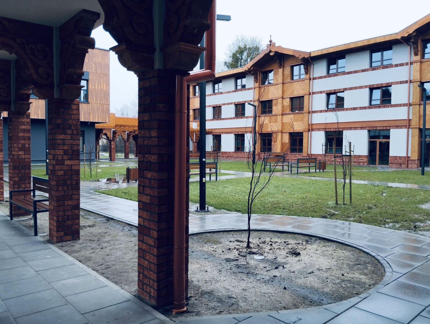 Szkoła drzewna pod lupą śledczych. Trwa analiza dokumentów i ...