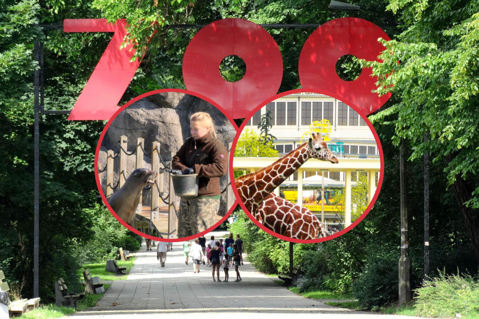 Najlepsze ogrody zoologiczne w Polsce. Tak oceniła je sztuczna ...